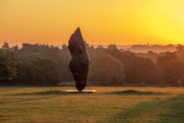 Interview with Clive Nichols, Britain’s Best Garden Photographer | My ...