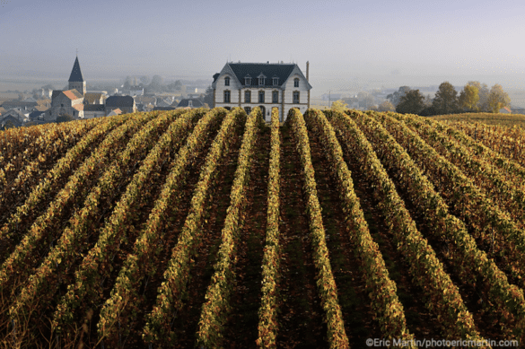 The Best Champagne Maisons to Visit | My French Country Home Magazine