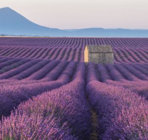 10 Must-See Places in France | My French Country Home Magazine