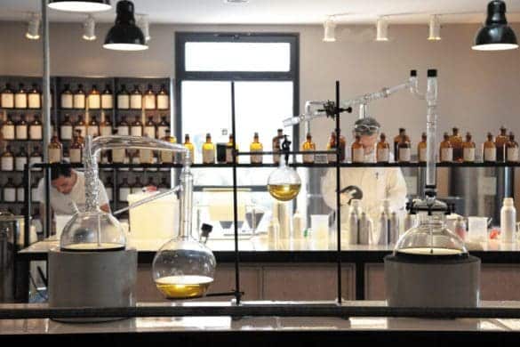 Guide to Grasse: the Perfume Capital of the World | My French Country ...