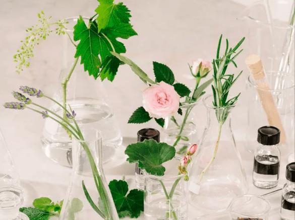 7 Natural French Skincare Brands | My French Country Home Magazine