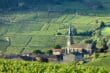 10 French Wine Regions You Should Know