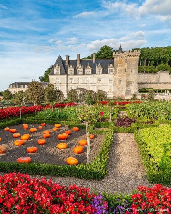 French Châteaux in Fall Foliage