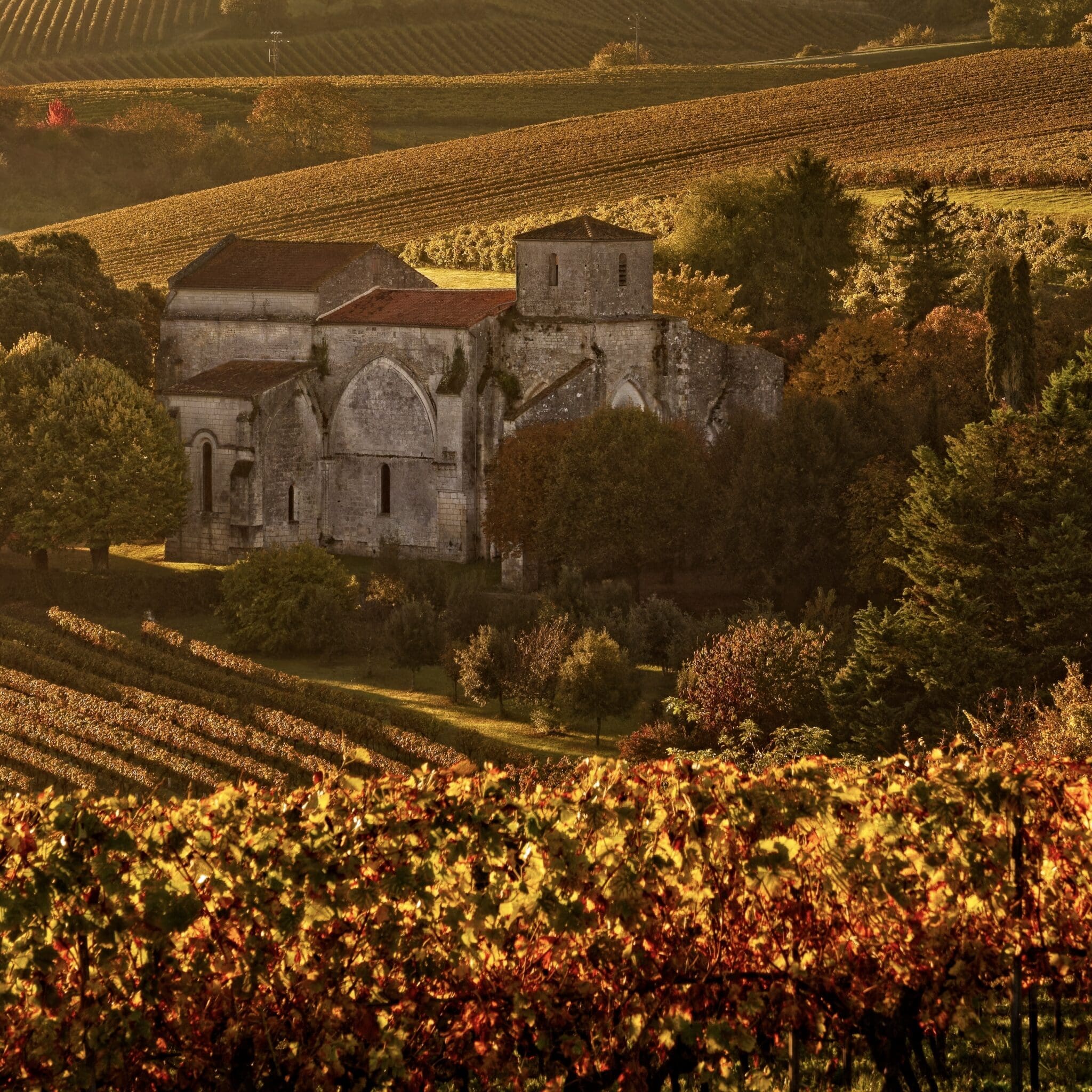 MFCH Regional Guides | My French Country Home Magazine