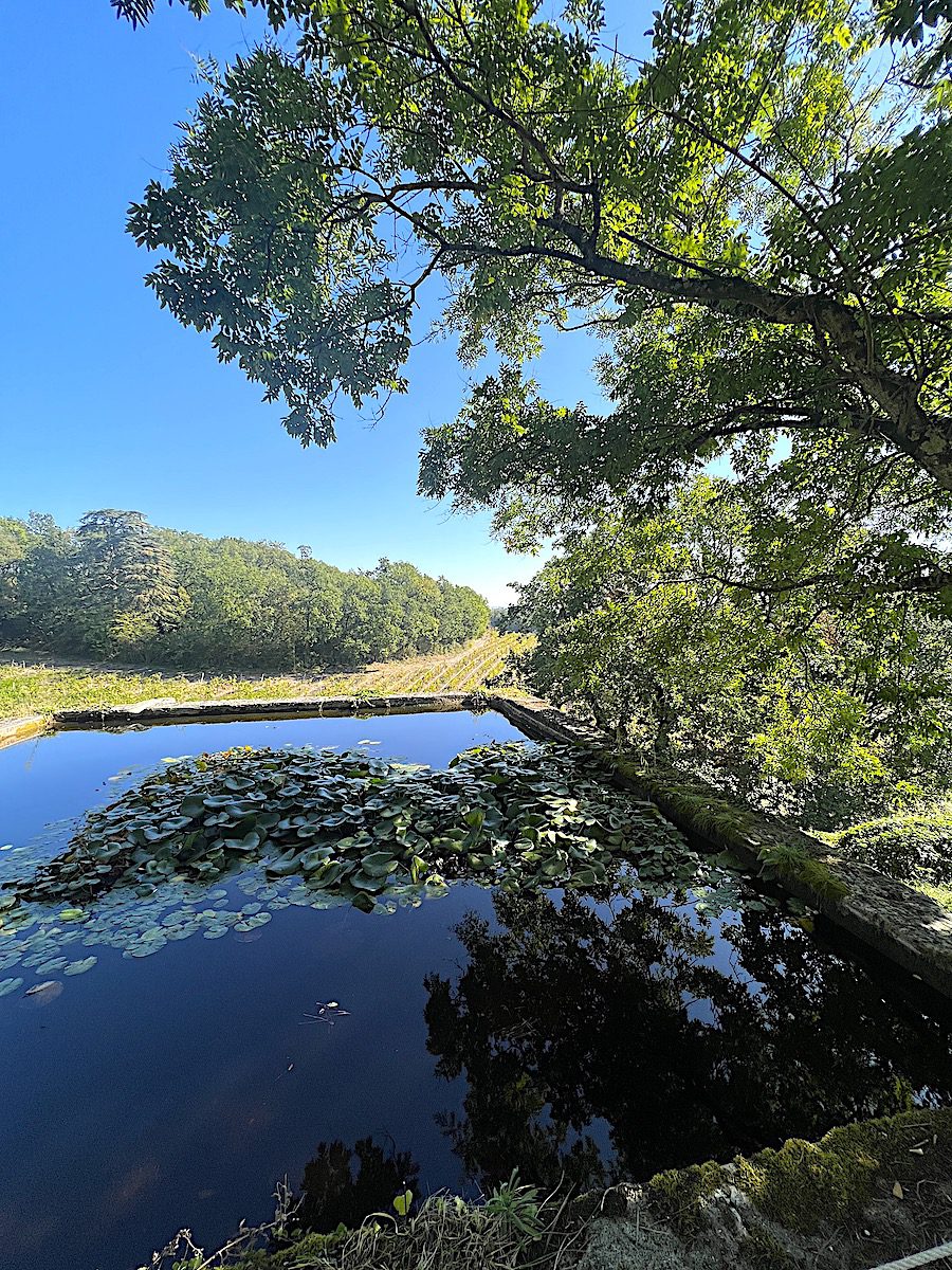 Le Gers: a Hidden Gem of France