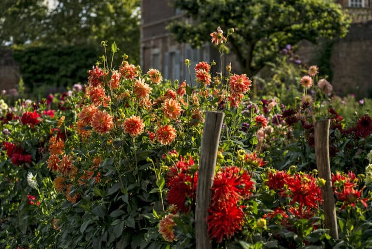 10 French Gardening Tips