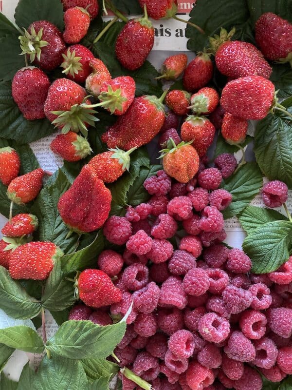 10 French Gardening Tips