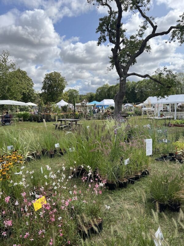 10 French Gardening Tips