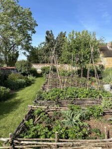 10 French Gardening Tips