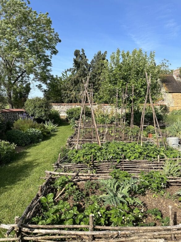 10 French Gardening Tips