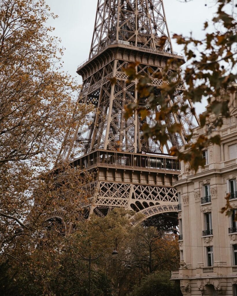 Fall Foliage Around France
