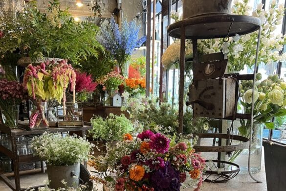 7 Favorite French Moisturizers | My French Country Home Magazine